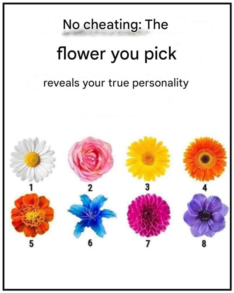 No chatter — the flower you pick reveals your true character trait ...